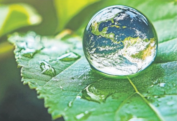 Driving Sustainable Solutions: Insights from Veolia's Fergus Elebert