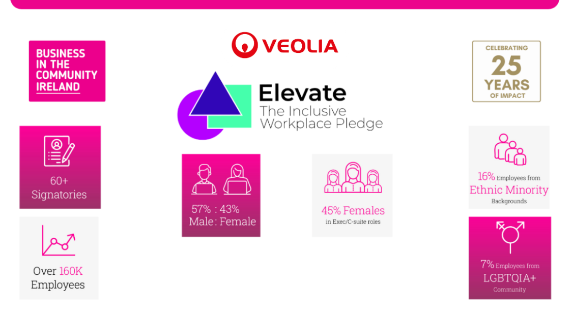 4th Elevate Pledge report on inclusion and diversity launched